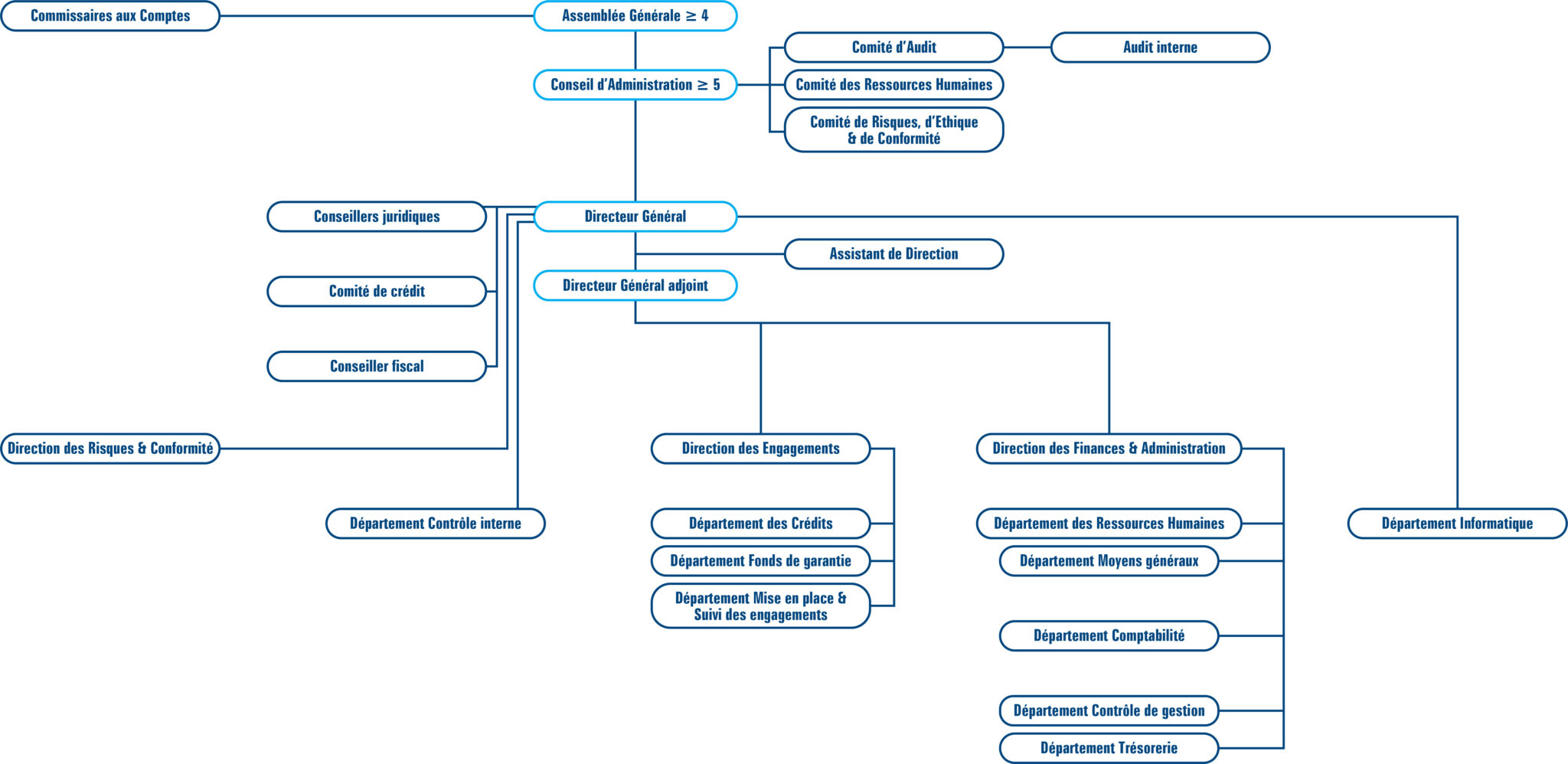 Organizational structure - FPM
